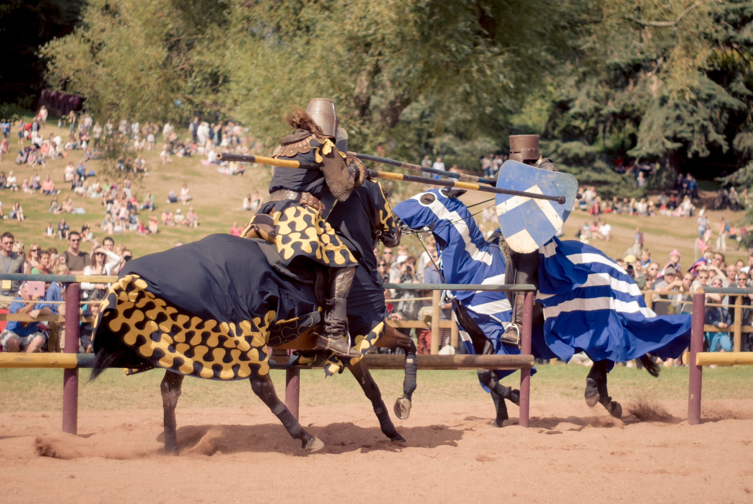 Which warhorse would you shop for if you were a Medieval knight ...