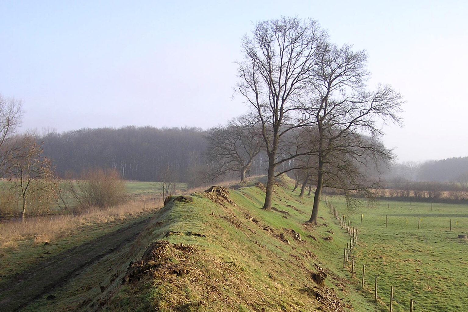When did the Danes arrive in Denmark? And where did they come from ...