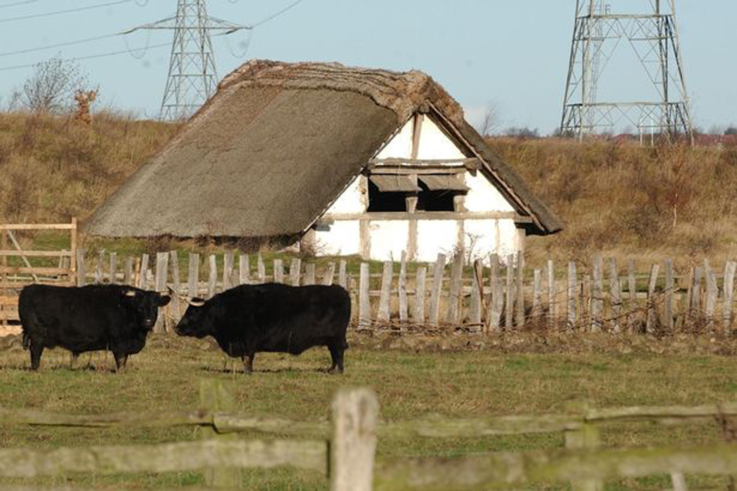 Bede's World visitor attraction in Jarrow closes — Medieval Histories