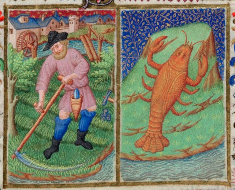 Summer and Crayfish - Medieval Histories