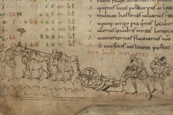 New Perspectives on the Agricultural Revolution in the Early Middle ...