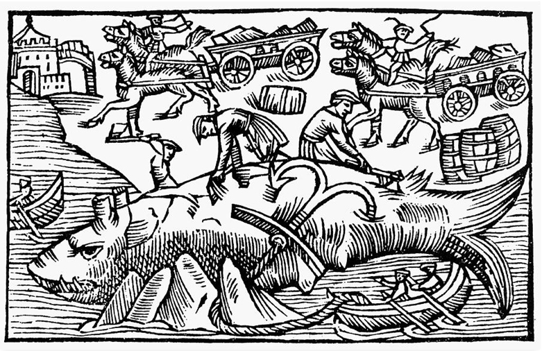 How to Catch a Medieval Whale? — Medieval Histories