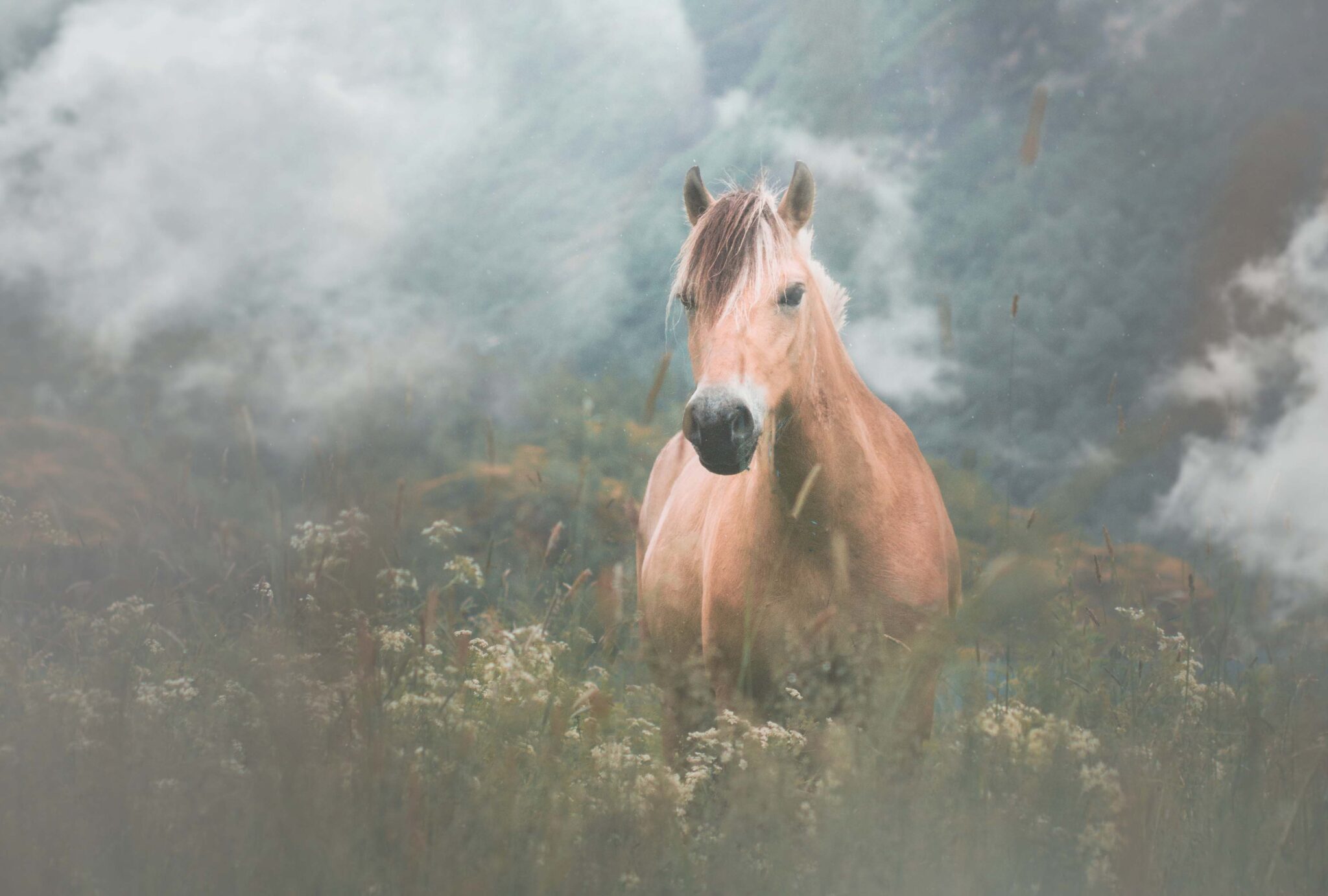 Medieval Research Archives — Medieval Histories