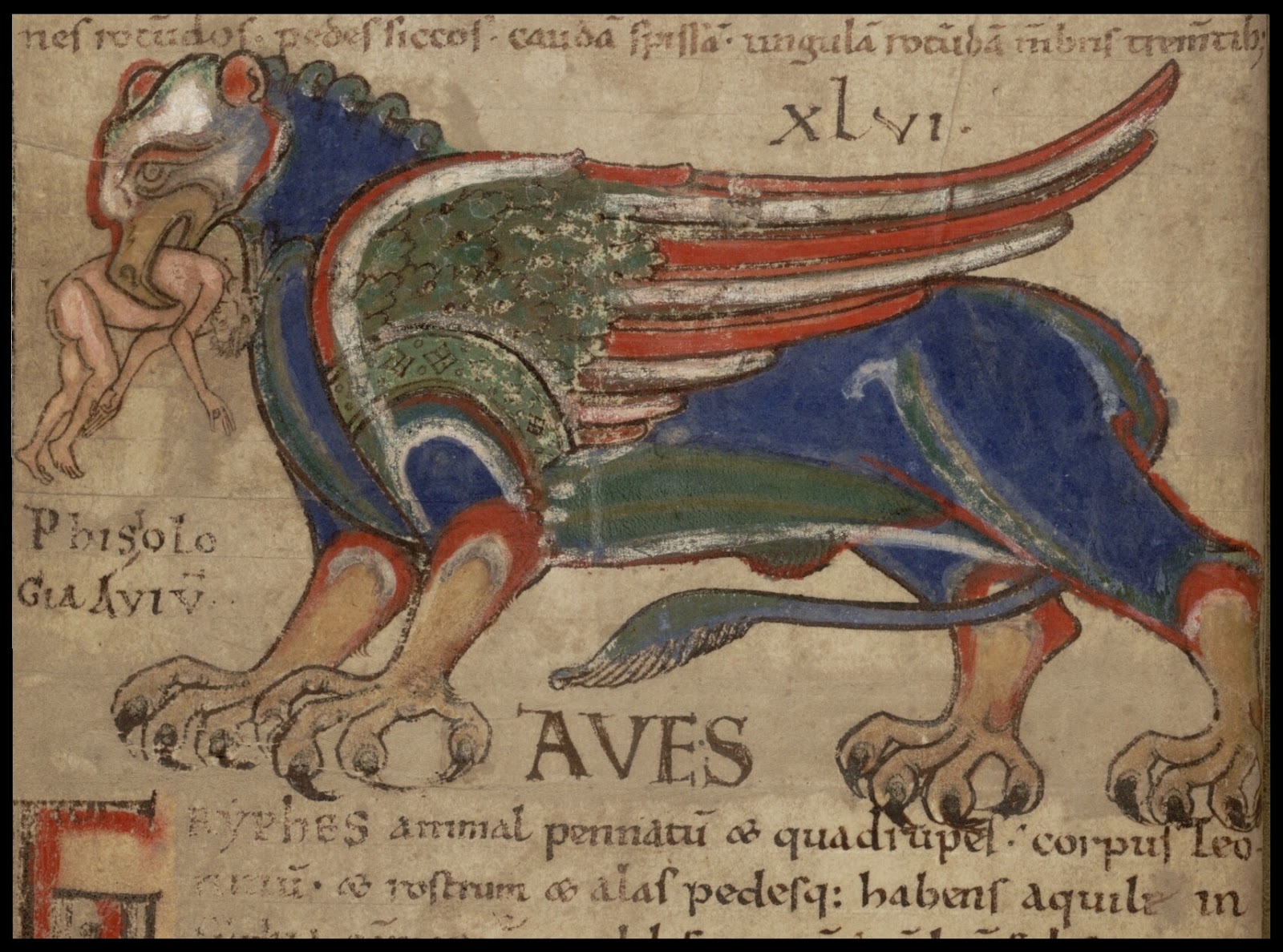 Divided Forms in the Late Medieval Motet - Medieval Histories