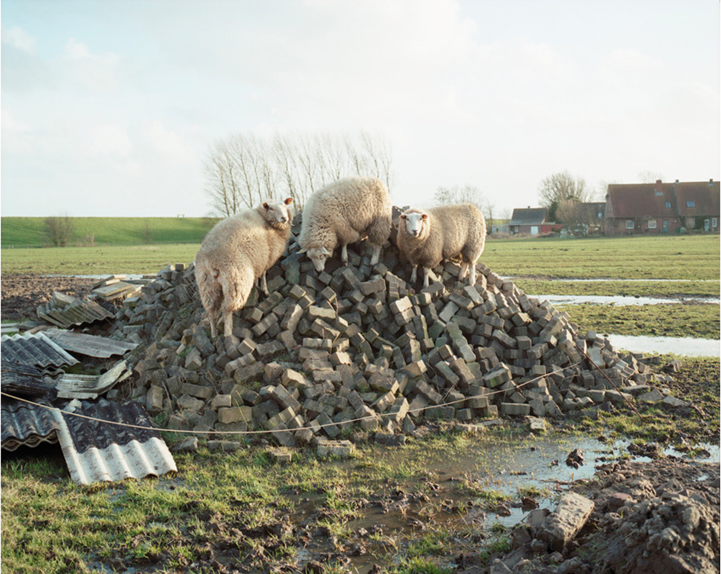 European Society for Environmental History - Medieval Histories