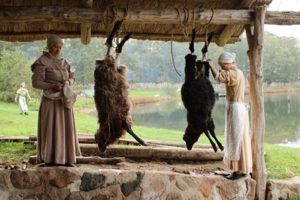 The Medieval Centre In Denmark – Medieval Histories