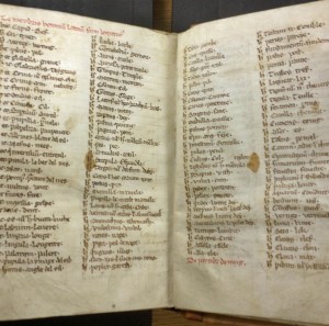 Medieval Latin - Medieval Histories