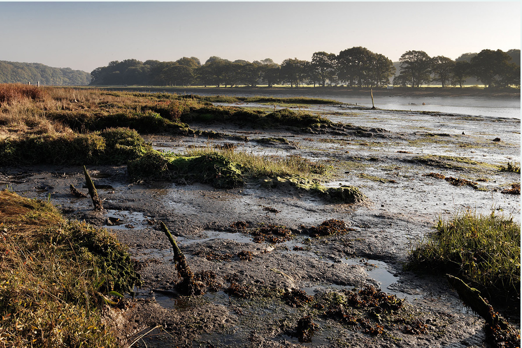 The Holigost at Hamble - Medieval Histories