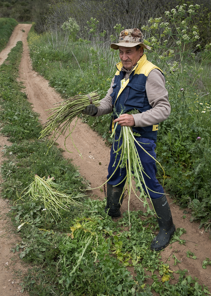 Wild Edible Plants in Medieval and Modern Spain - Medieval Histories