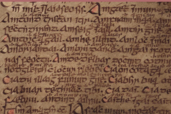 Rare Glimpse of Early Medieval Ireland – Medieval Histories