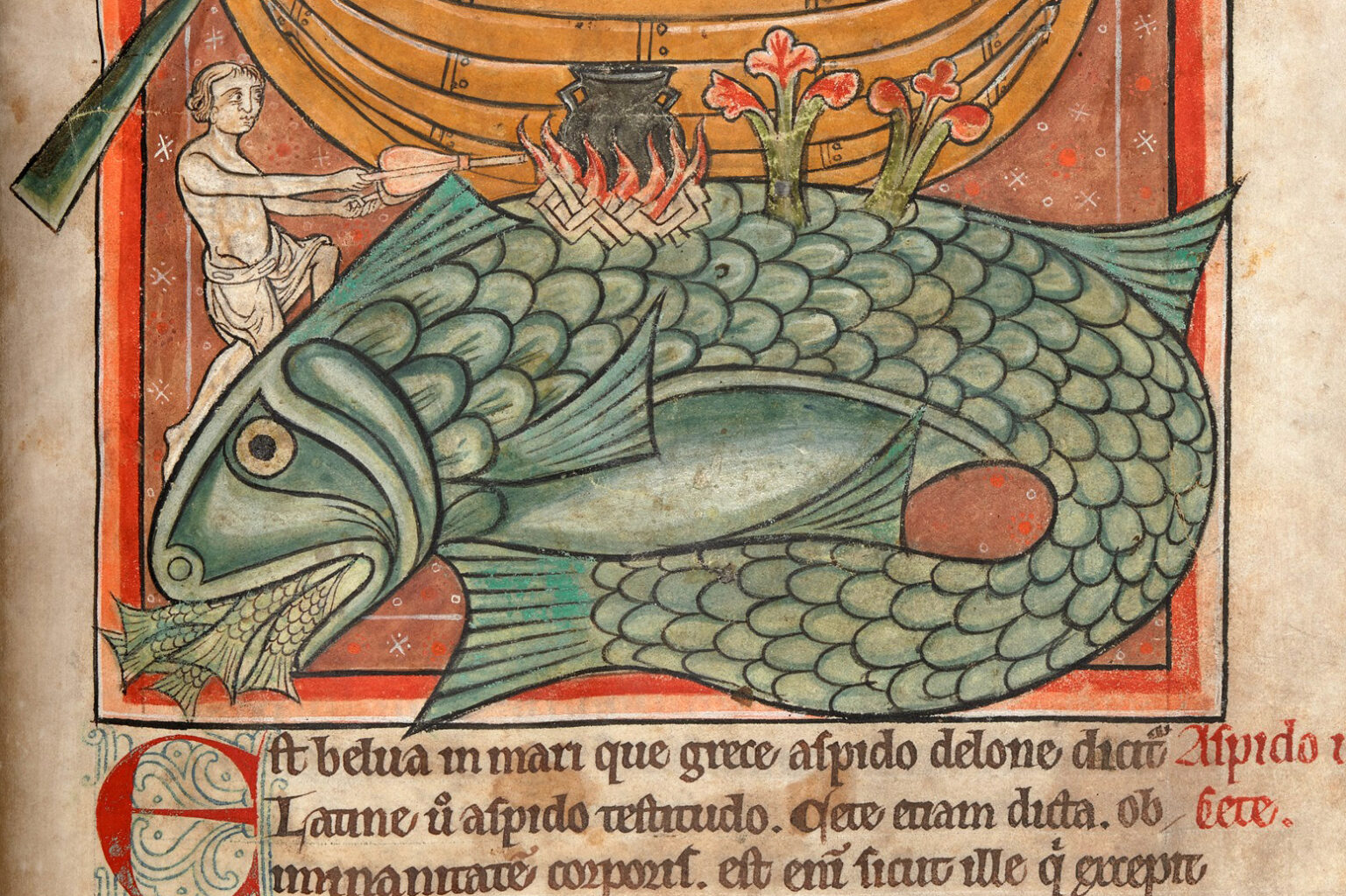 Whales and whaling in the Icelandic Seas - and the Kraken — Medieval ...