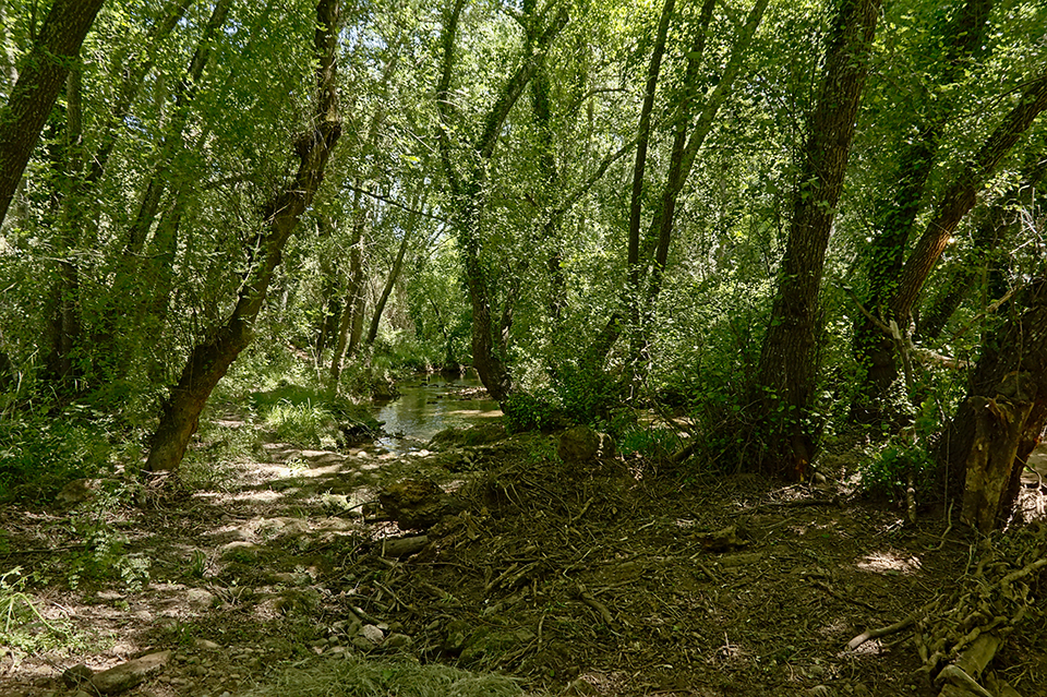 Rewilding or Landscape Conservation in Andalusia? — Medieval Histories