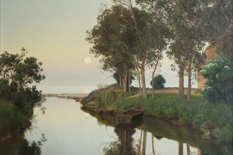 What was the landscape like in Medieval Denmark? — Medieval Histories