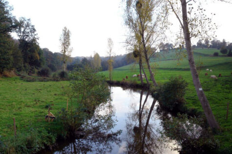 The River Sélune – Restoration of an Ancient Landscape? — Medieval ...