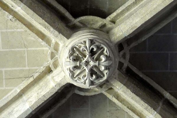 Medieval Histories – Nature, history, heritage from the Middle Ages