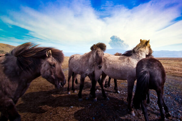 Climate Upheavals and a Transformed Earth — Medieval Histories