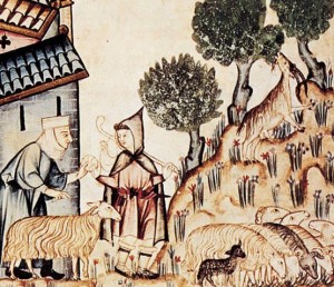 Early Medieval Farming - Medieval History