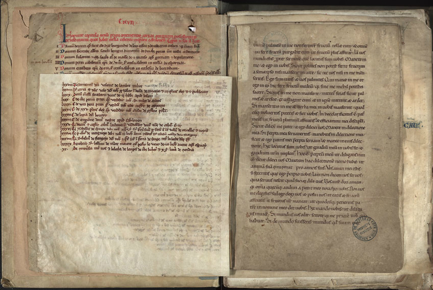 Medieval Burgundian Charters - Medieval History