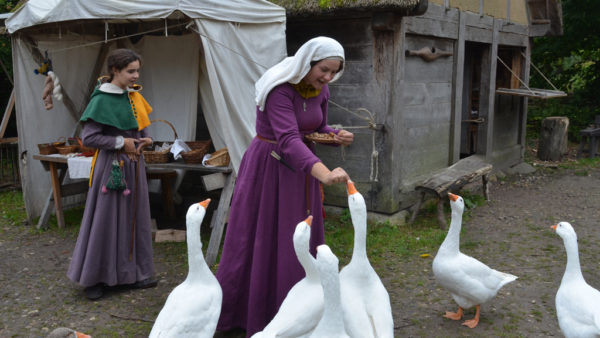 The Medieval Centre In Denmark – Medieval Histories