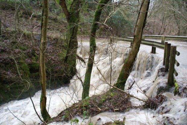 Noah’s Flood - Medieval Histories