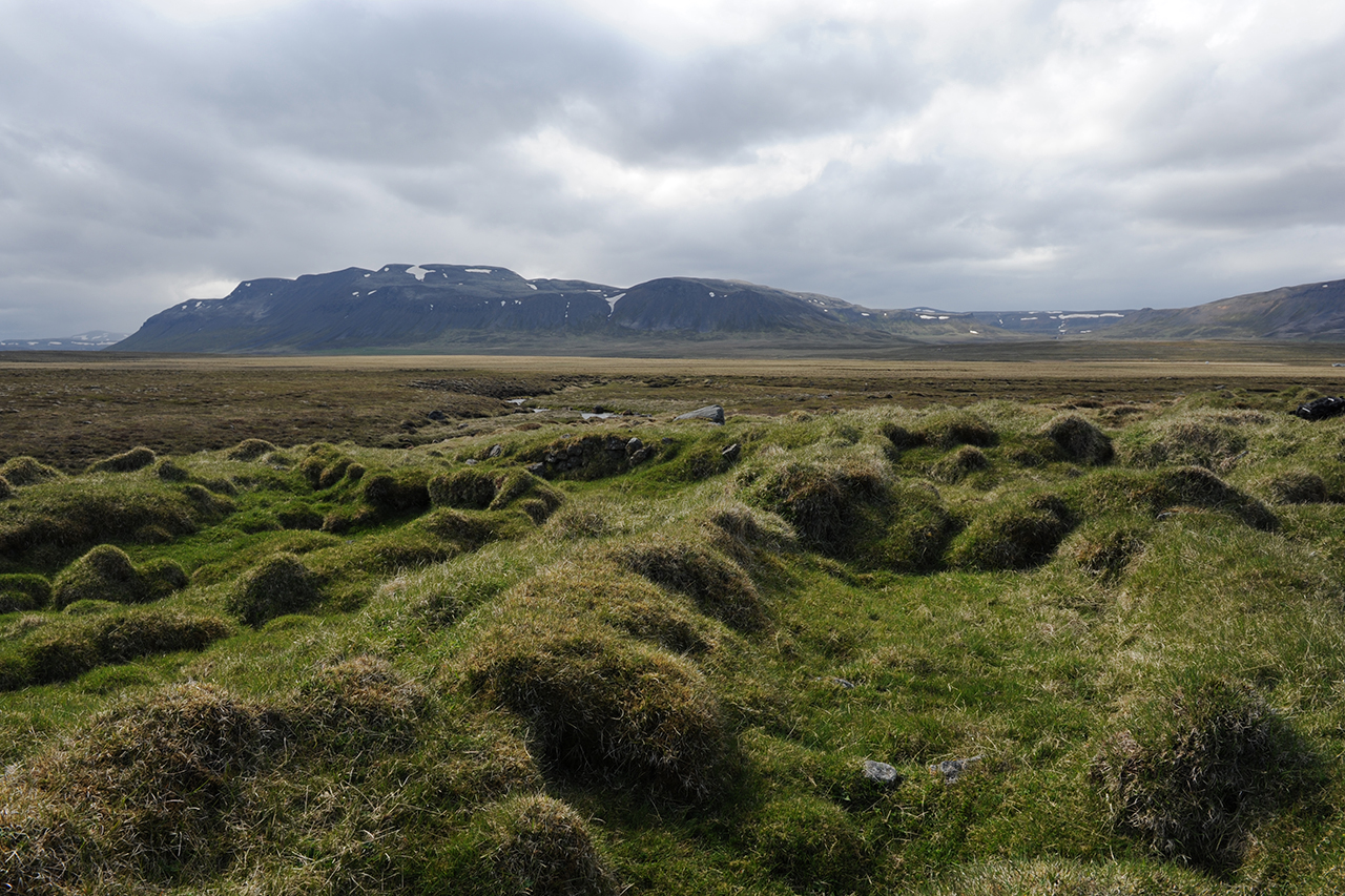 Neo-Pagan Temple built in Iceland - Medieval Histories