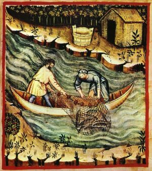 Raw Fish - Medieval Histories